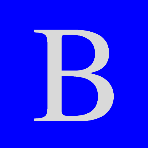 Bionic Capital Wealth Management | 321-574-8052